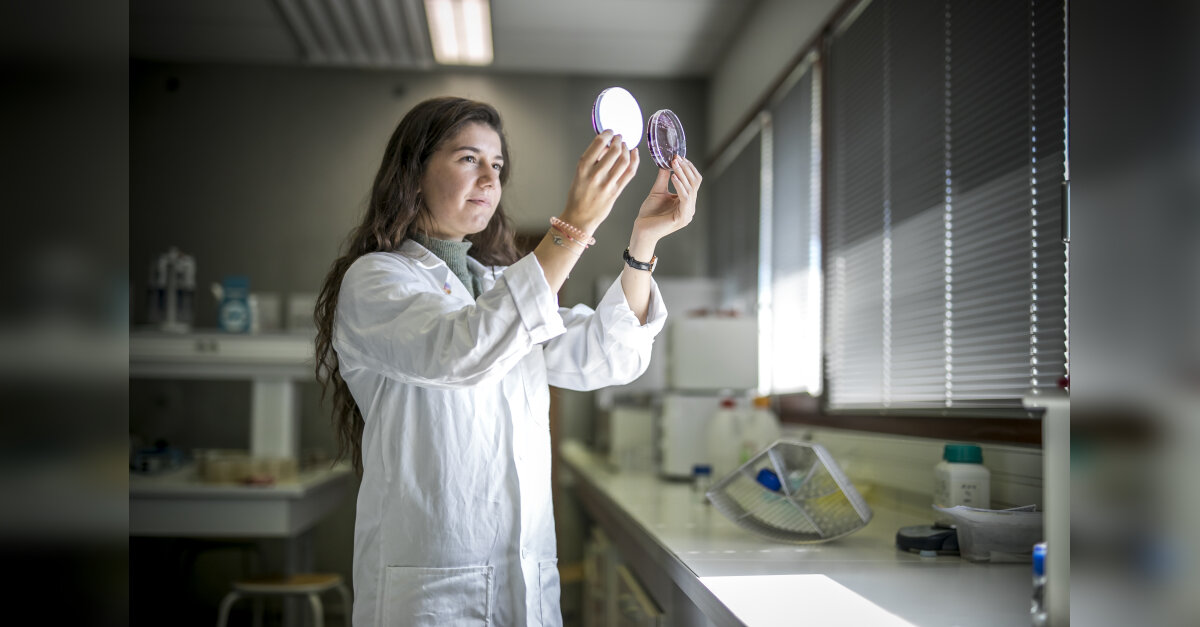 Immunothérapies : la biotech américaine Amunix rachetée 1 Md$ par ...