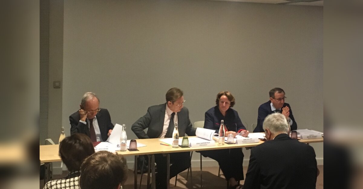 Ancols : L.-A. Jaxel Truer, représentant d'Emmanuelle Wargon au comité ...