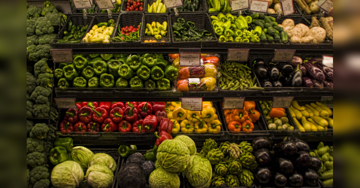 News Tank Agro - Résilience alimentaire: « Un guide pour outiller les ...