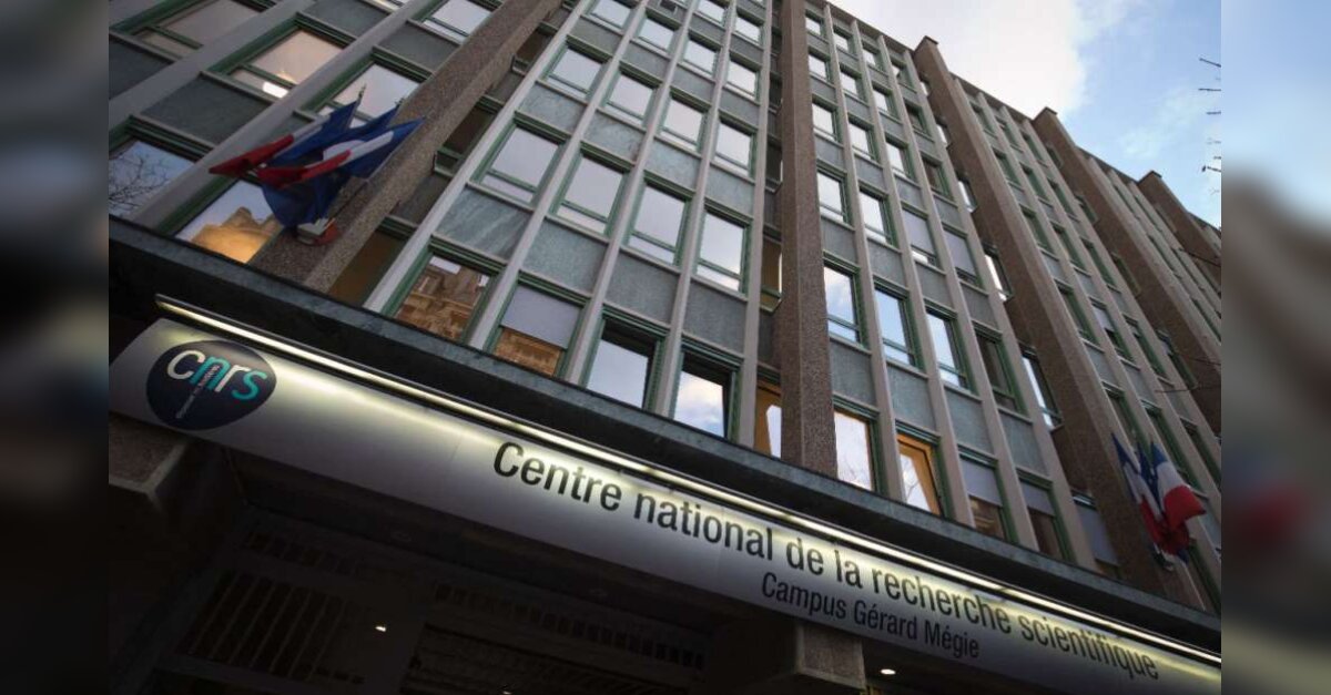 CoNRS : les recommandations de deux sections sur l'organisation des ...