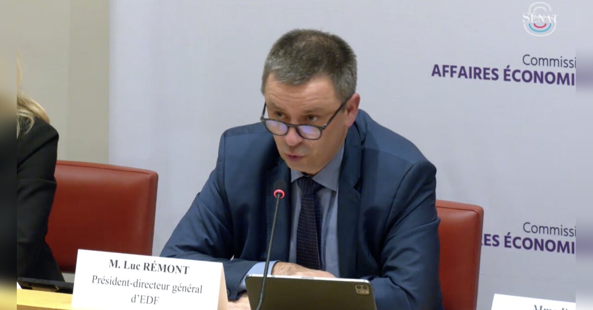 Sénat : "Tirer l'ensemble de notre marché électrique vers le long terme ...
