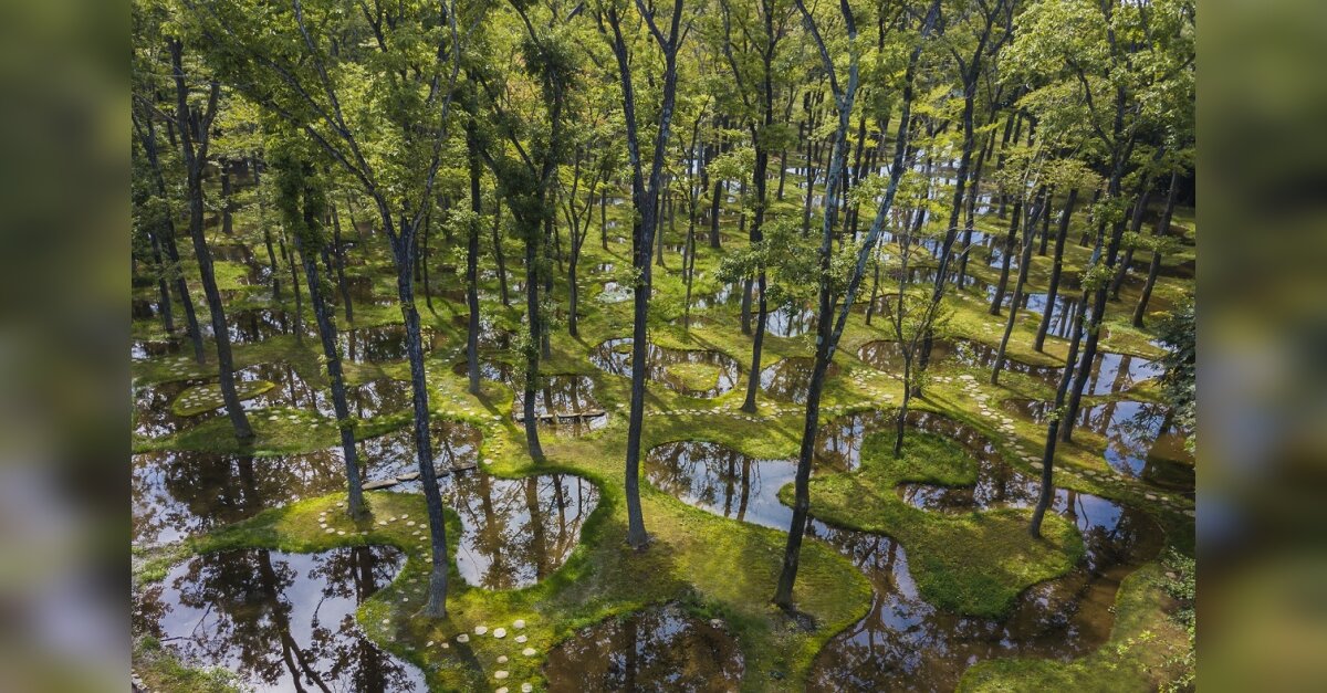 Architecture : Junya Ishigami lauréat du premier Obel Award pour son ...