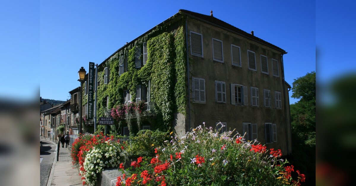 [Signaux faibles] Appel aux dons, cyberguerre, test olfactif canin : la ...