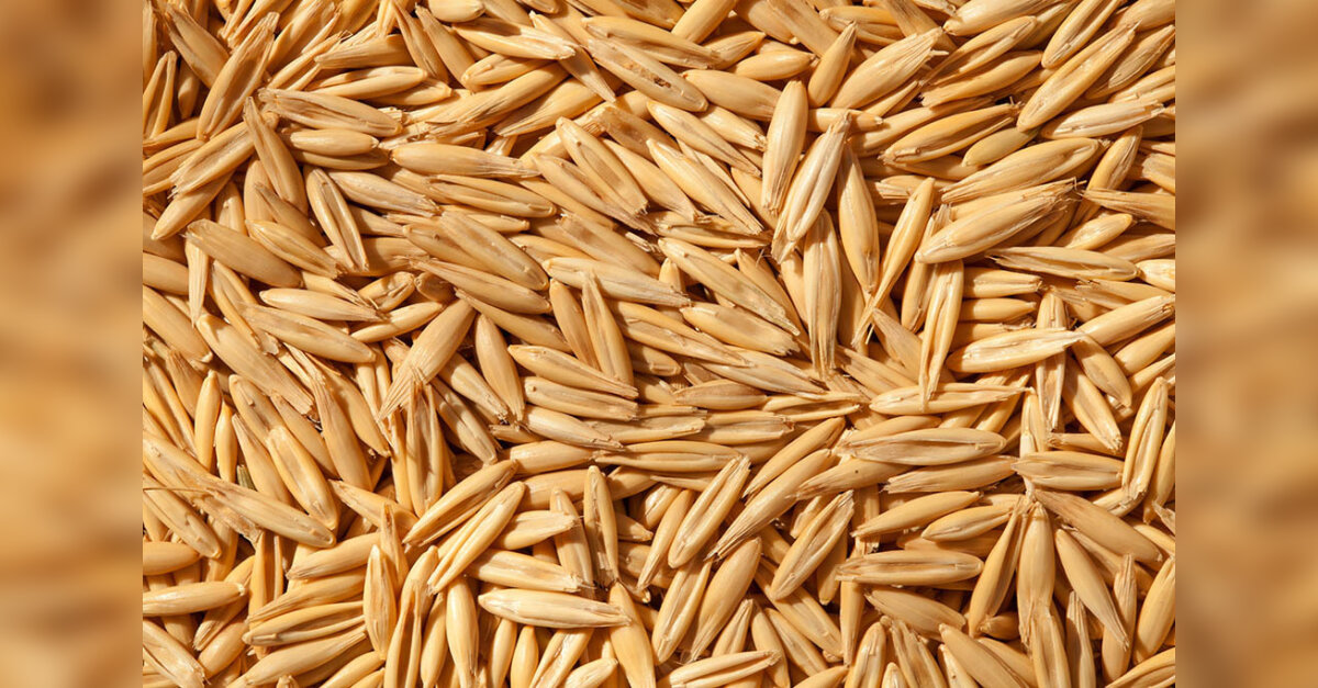 Semences : accord pour l’acquisition du groupe Deleplanque par RAGT ...