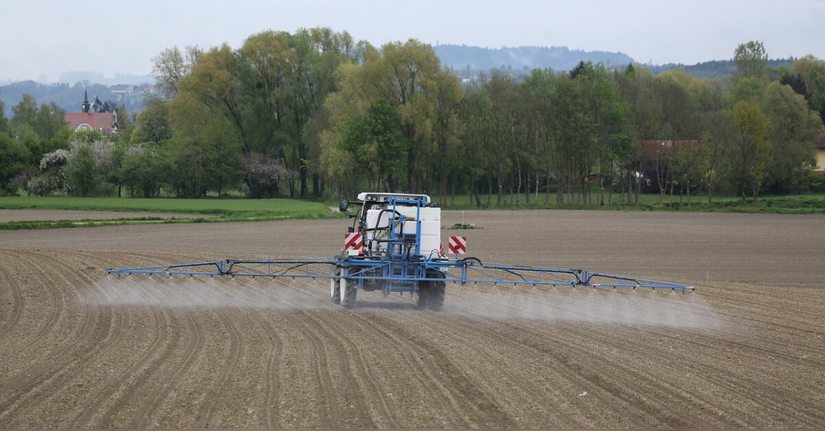 EP/CAP simplification: NGOs to warn on the risk of the deregulation of ...