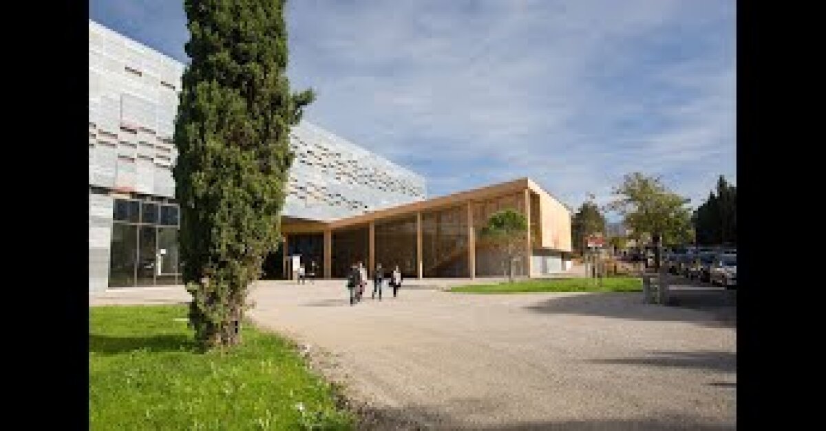 École nationale supérieure de chimie de Montpellier : Fatima Filippin ...