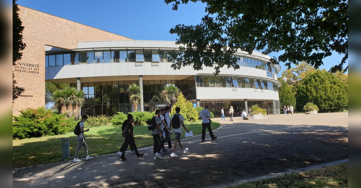 Chercheurs menacés : les propositions de l’Initiative pour un « plan ...