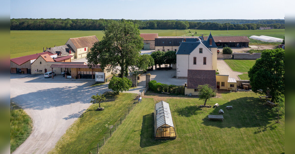 Hectar: création d’un chatbot IA dédié aux agriculteurs, lancement en ...