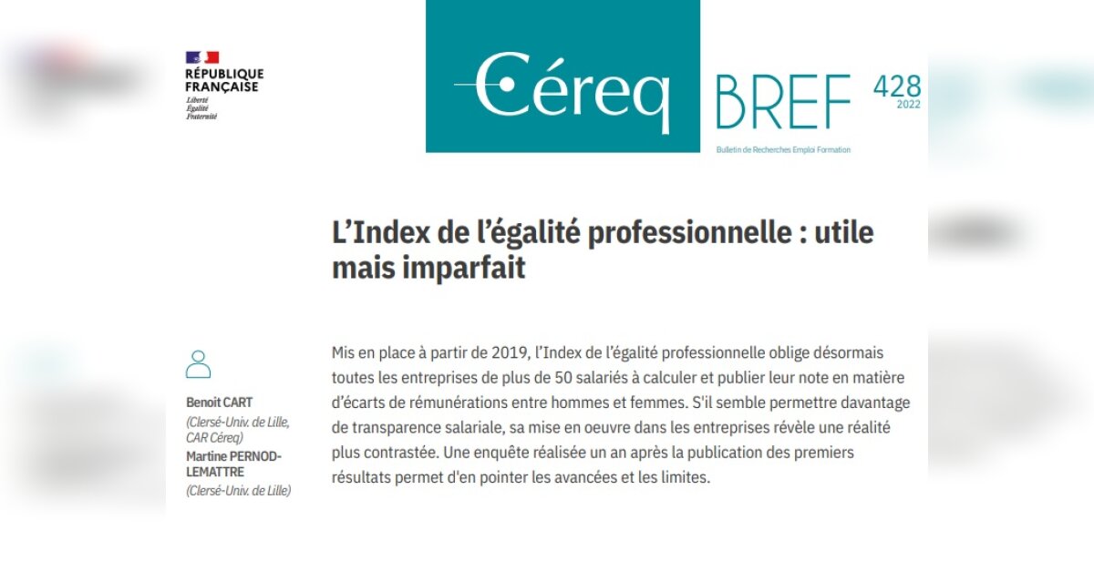 News Tank RH - Index de l’égalité professionnelle : "Utile mais ...
