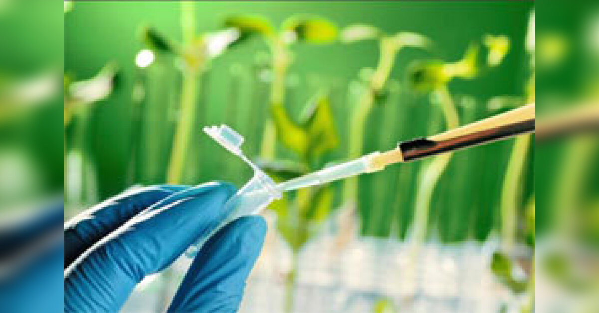 News Tank Éducation & Recherche - Sup'Biotech : un bachelor "pour ...