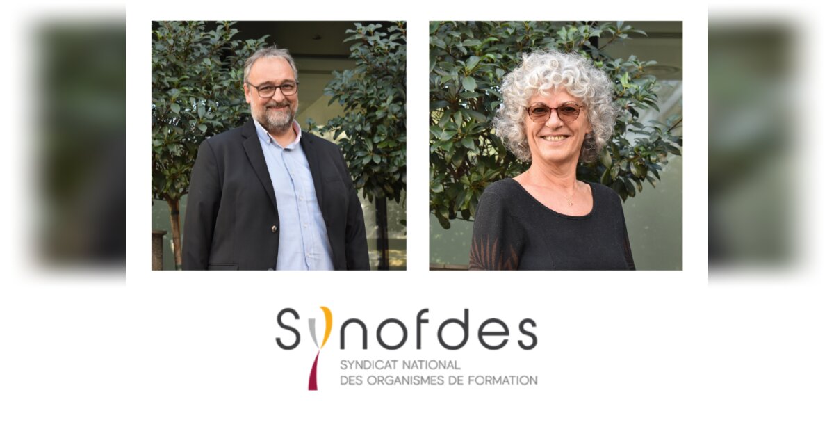 Synofdes: Philippe Genin président, Muriel Pécassou vice-présidente ...