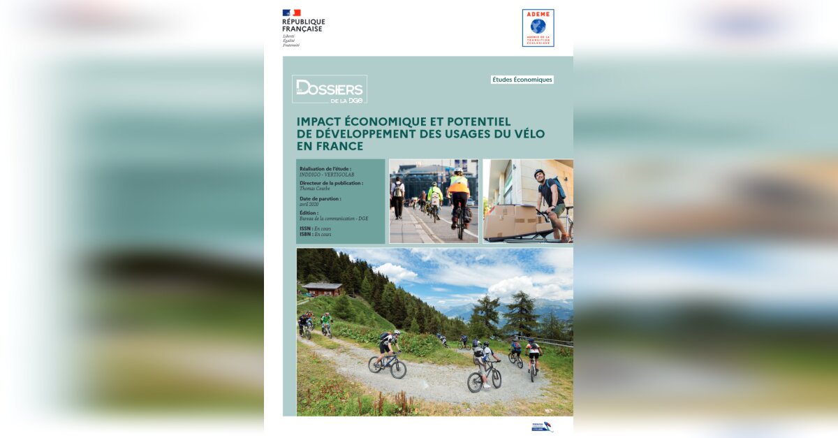 Vélo : 11 recommandations pour développer les usages en France (étude ...