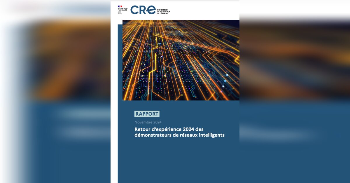 CRE : Retour d’expérience 2024 des démonstrateurs de réseaux ...
