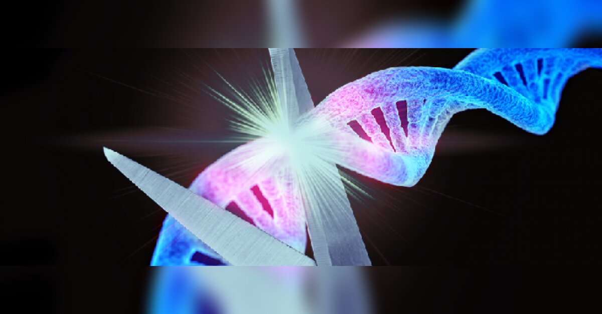 Nouvelles techniques génomiques: le G6 favorable à l'assouplissement de ...