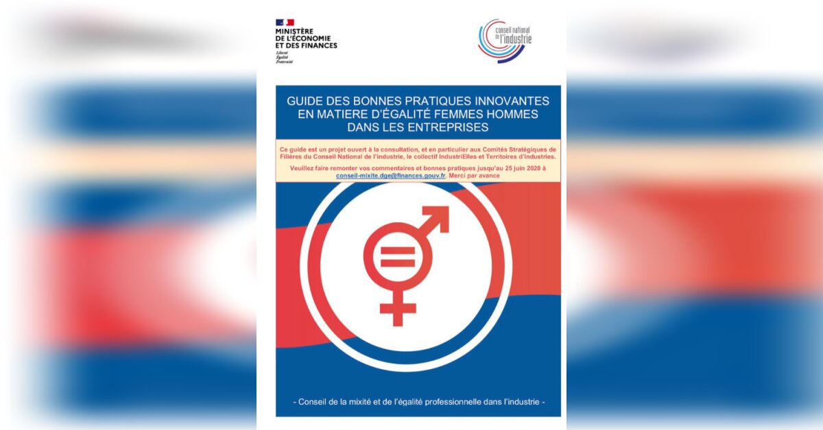 Le "Guide de bonnes pratiques pour l’égalité femmes-hommes dans l ...