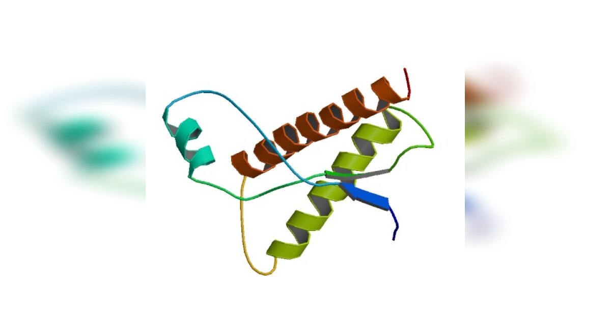 Recherches sur prions : Inrae doit suivre les préconisations du rapport ...