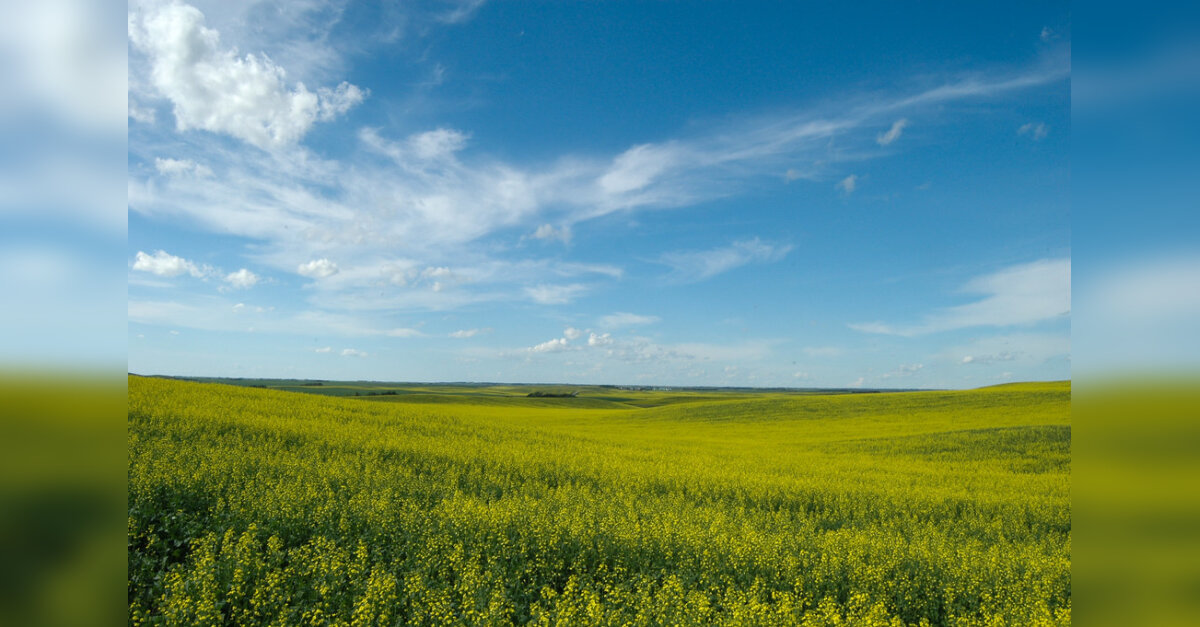 BCAE : publication des règles soumises aux demandeurs d’aides à compter ...
