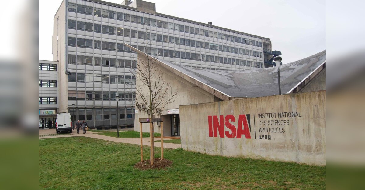 Insa Lyon: vacance des fonctions de direction au 01/11/2024, F. Fotiadu ...