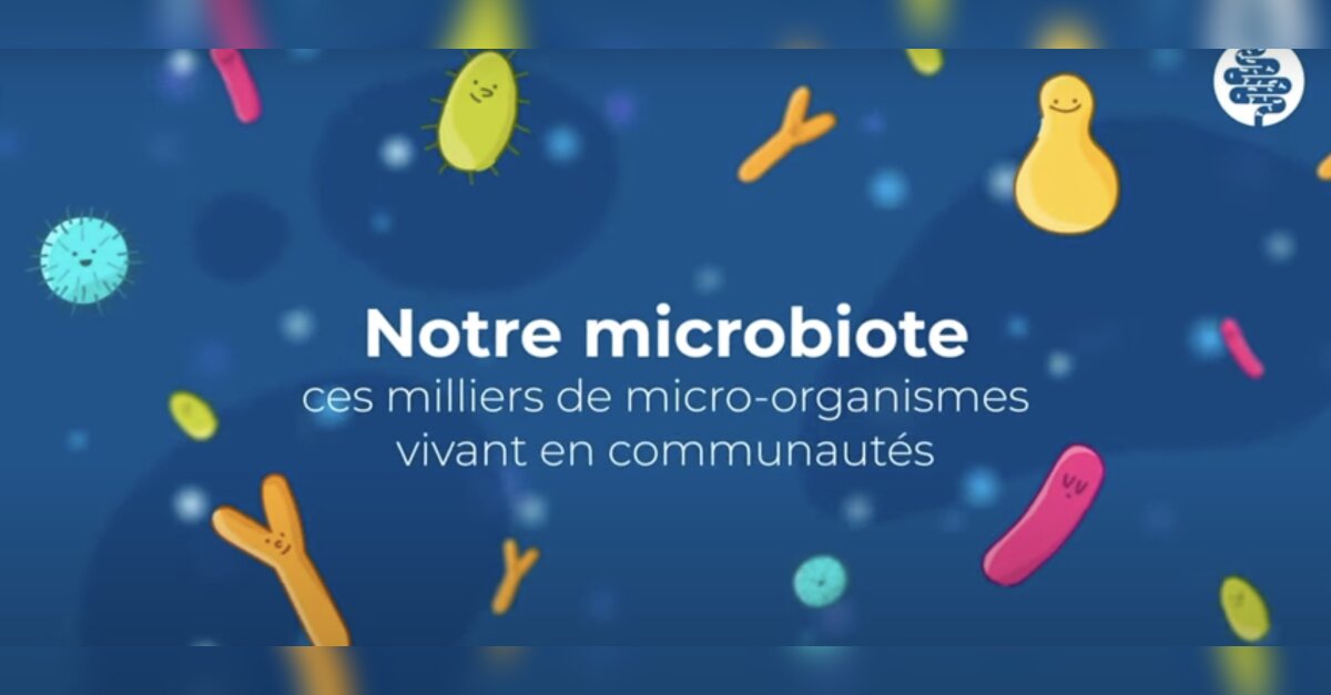 [Signaux faibles] Micro-forêt, incivilités, Charte LGBT+: la veille de ...