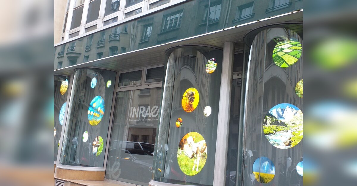 Inrae: une reprise "en deux étapes", protection de la santé "critère ...