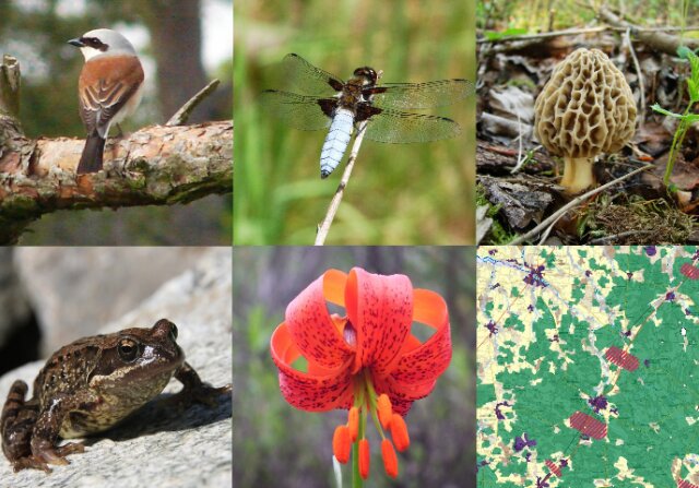 Commission européenne : un service scientifique pour la biodiversité ...