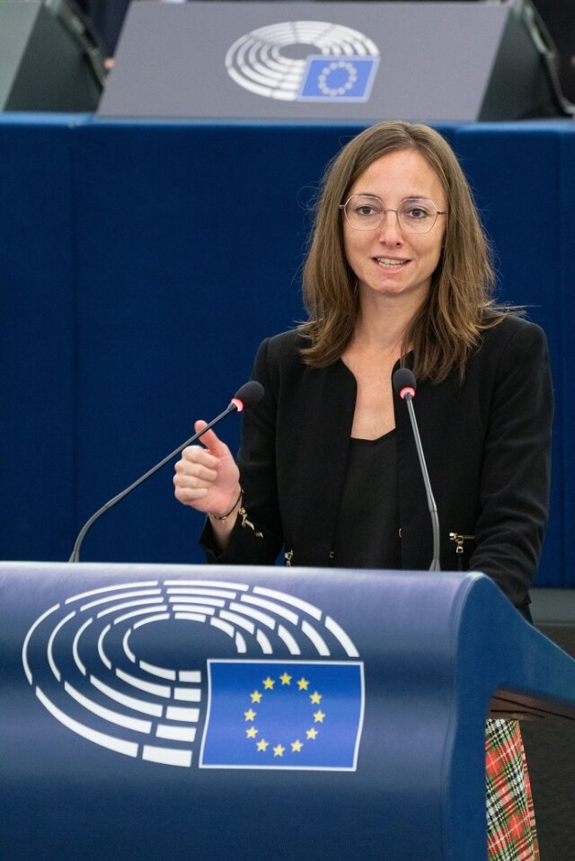 Mercosur : « Une résolution intergroupe pour demander une opinion à la ...