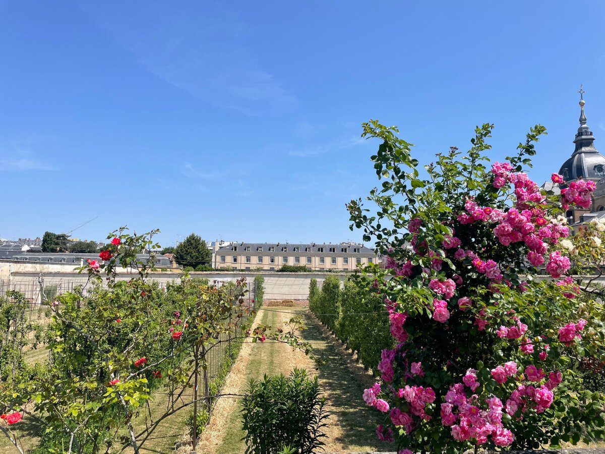 World Monuments Fund : réouverture d'une filiale en France - News Tank ...