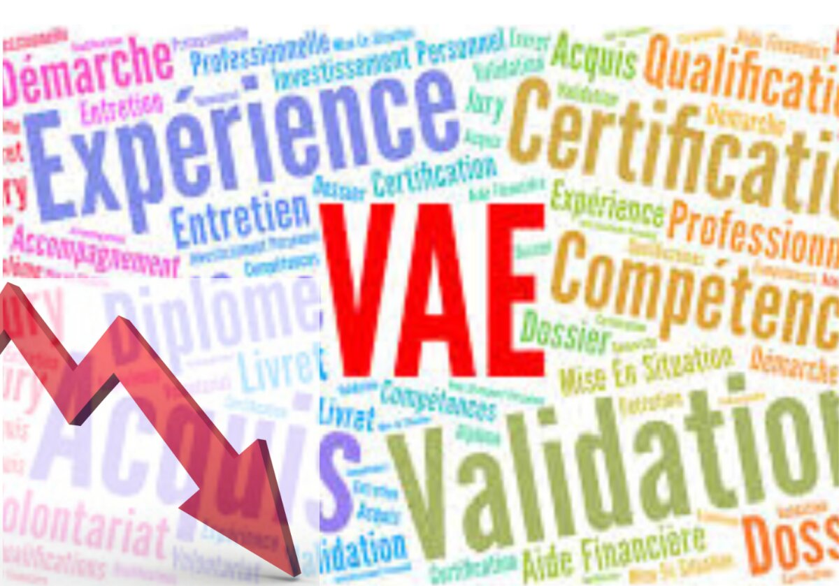 News Tank RH - VAE: réouverture de France VAE le 10/07/2024, mais avec ...