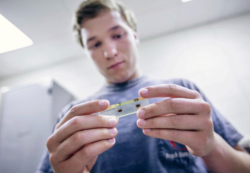 News Tank Éducation & Recherche - Tous nos articles sur le thème ...