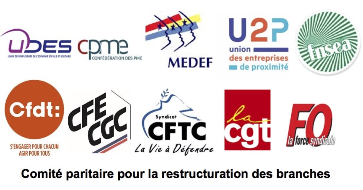 Restructuration des branches: la définition paritaire de la notion de ...