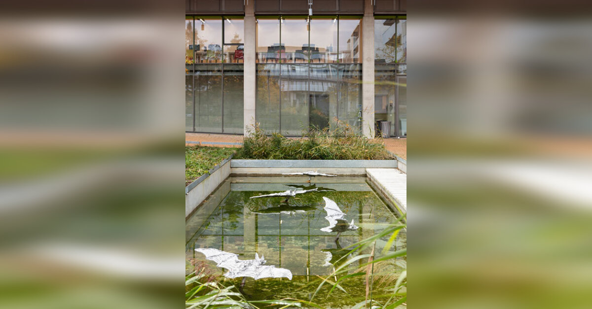 ENS Paris-Saclay : quatre œuvres artistiques choisies et installées ...