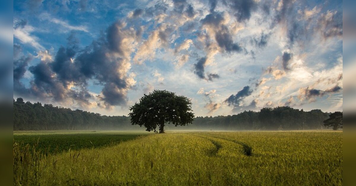 "L’environnement doit être enseigné de la maternelle à l'université ...