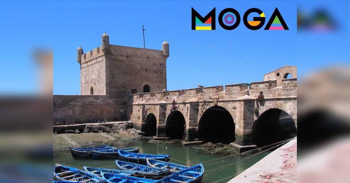 Maroc : lancement du Moga Festival à Essaouira, organisé par Panda ...