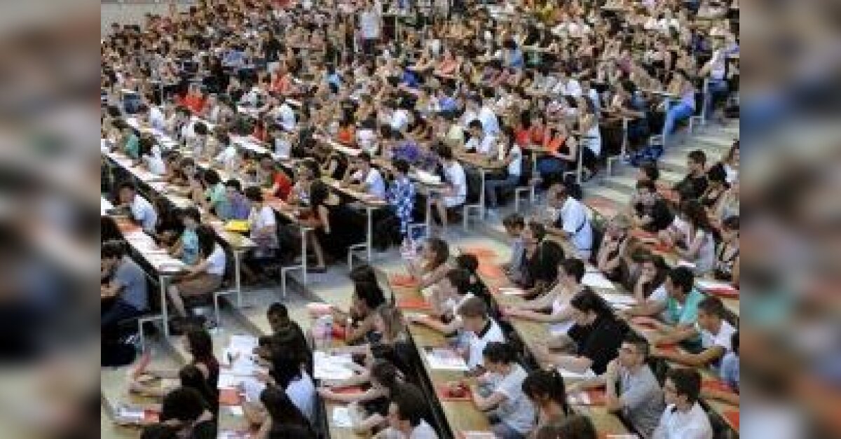 Le 2e appel à projets "Nouveaux cursus universitaires" recentré sur la ...