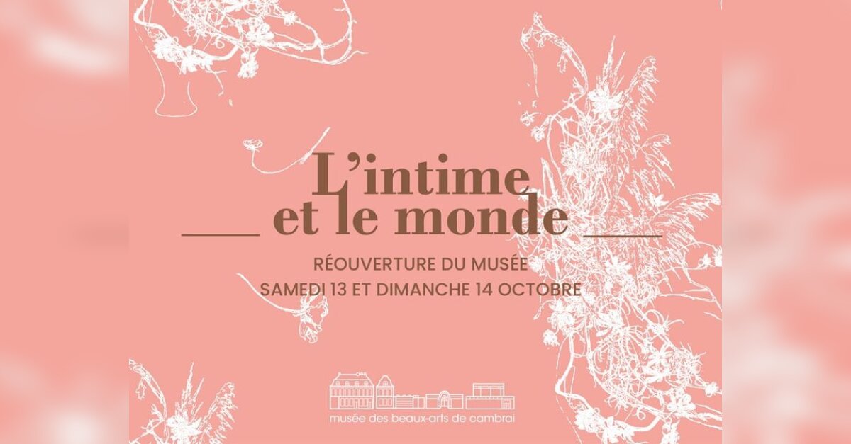 Musée de Cambrai : inauguration du nouveau parcours beaux-arts "L ...