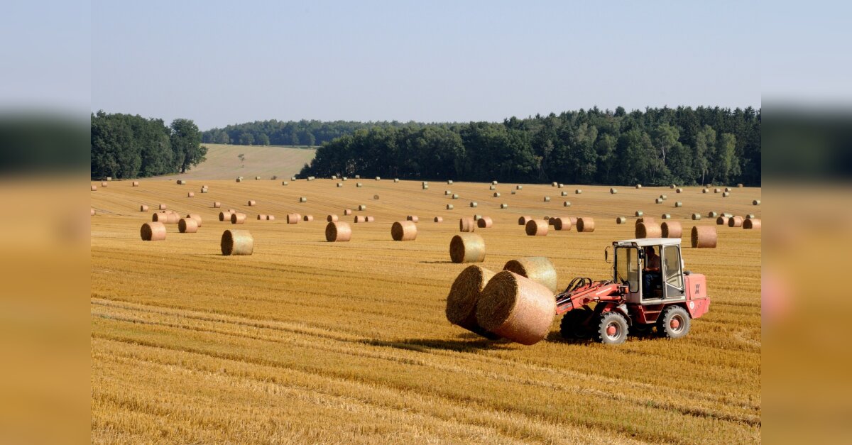 Intérêt croissant pour les MBA sur l'économie agroalimentaire ...
