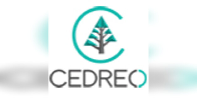 Cedreo - Immo Matin