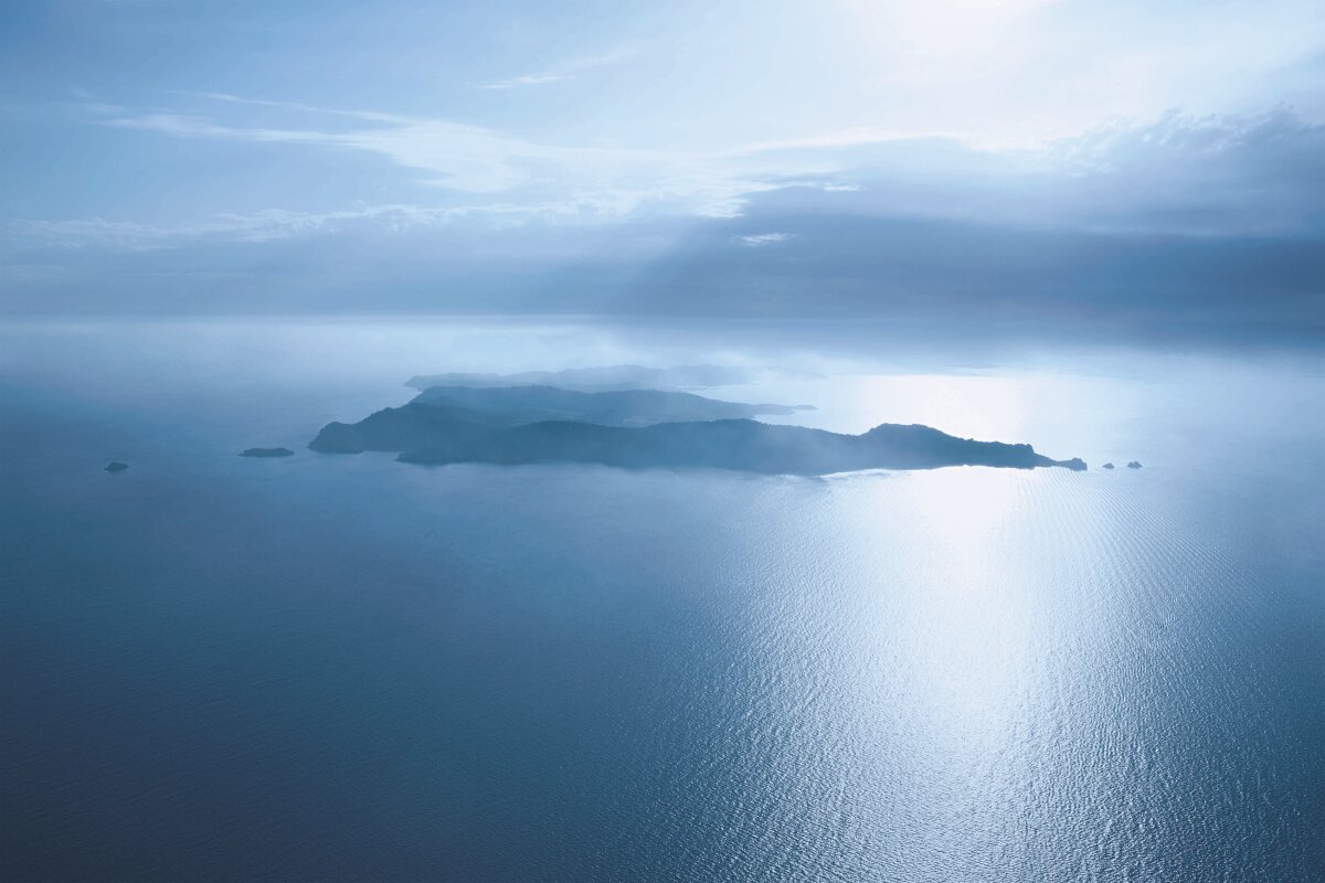 Fondation Carmignac : ouverture du site sur l'île de Porquerolles le 01 ...