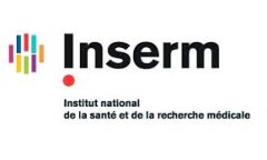 Inserm : modification du décret régissant l'organisation et le ...