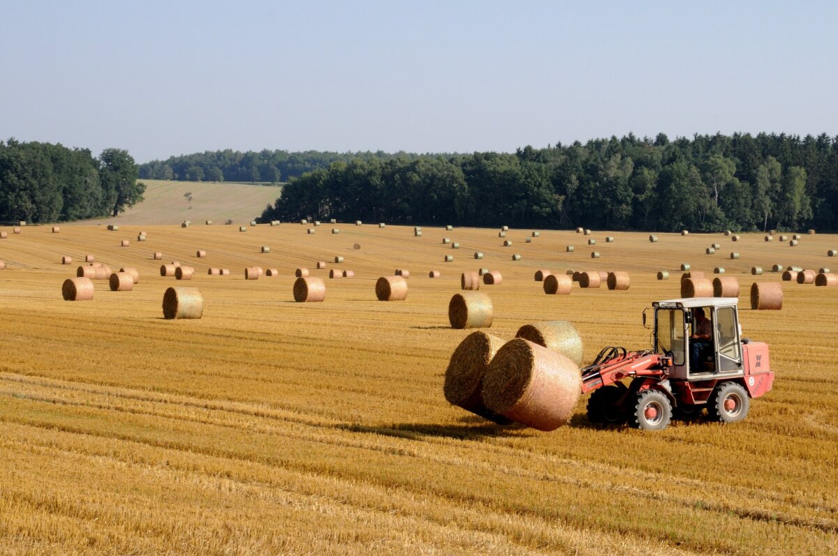 Intérêt croissant pour les MBA sur l'économie agroalimentaire ...